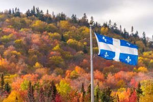 Bill 96 in Québec: How Can Companies Comply and Thrive? - ITC Global